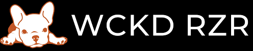 44. WCKD RZR - Chuck Teixeira - TechRound