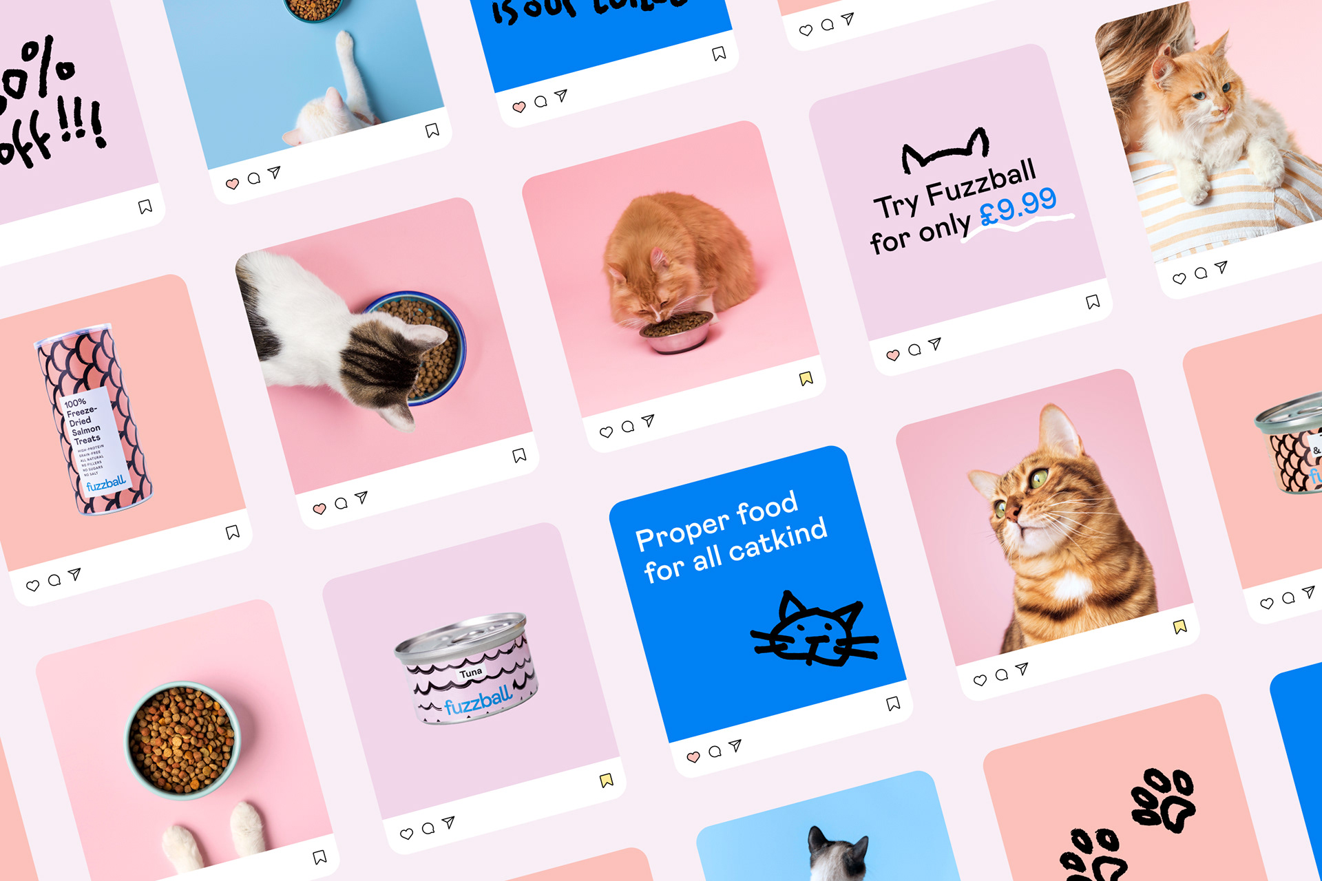 Startup Of The Week: Fuzzball - TechRound