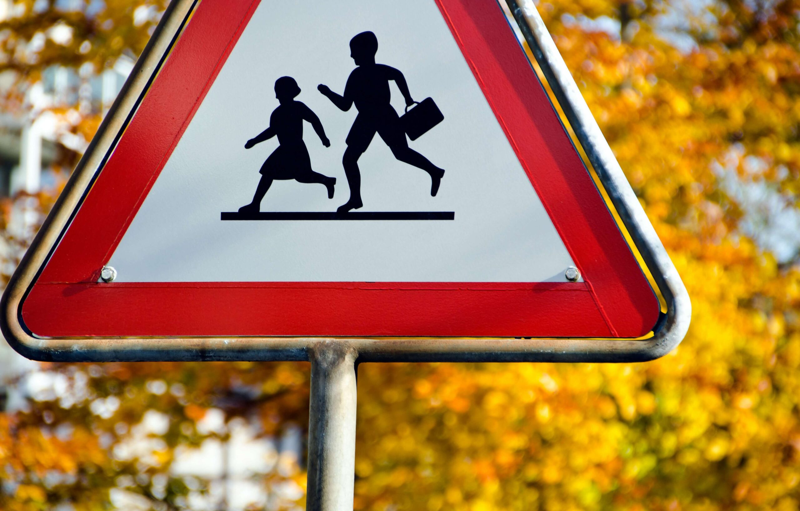 Top 10 Road Safety Companies - TechRound