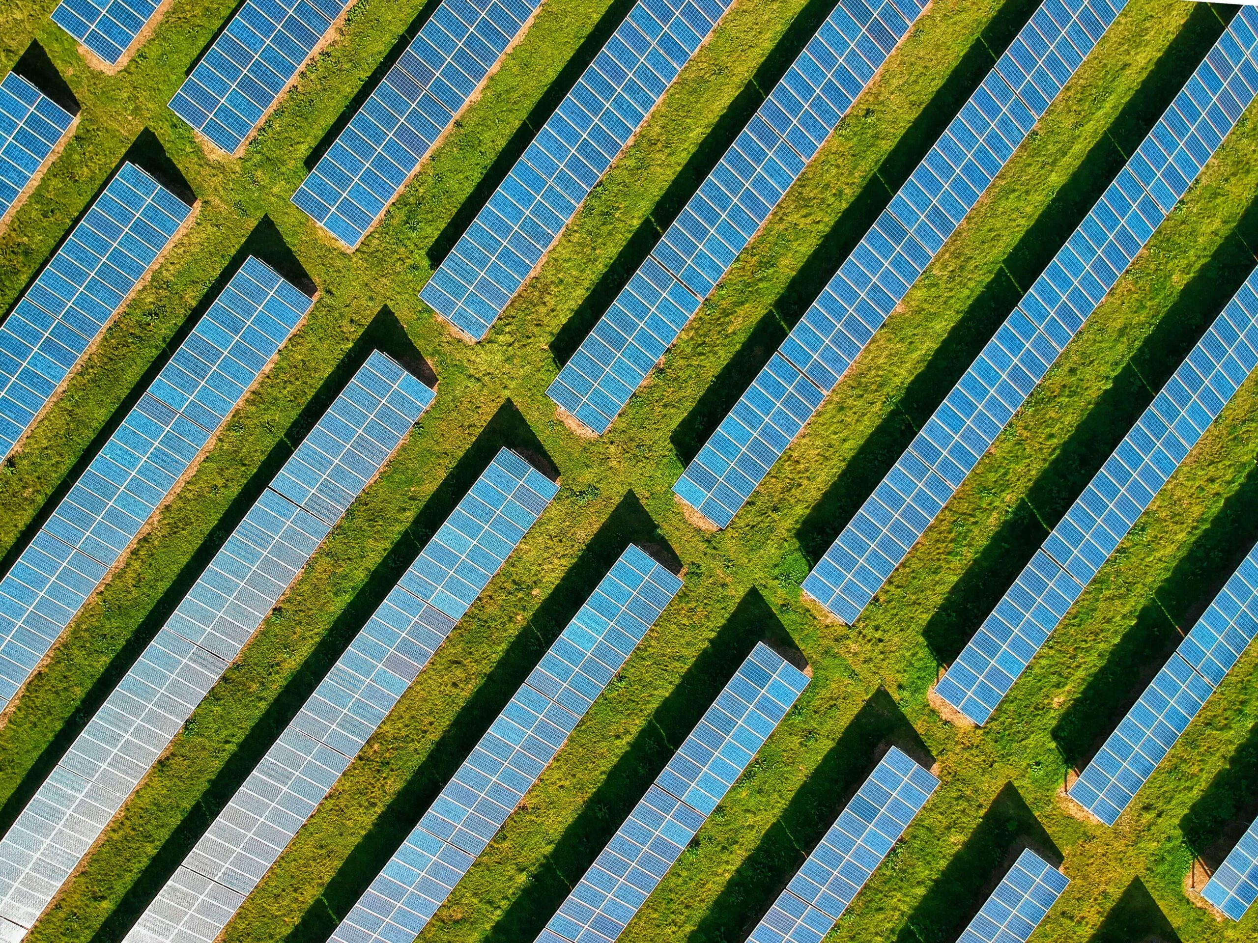 Top Sustainability Startups In China | TechRound