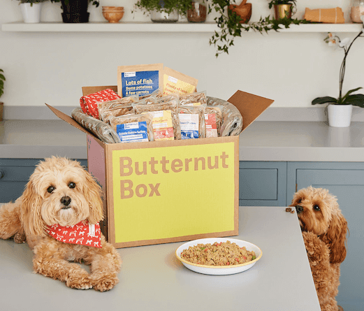 Startup of the Week: Butternut Box - TechRound